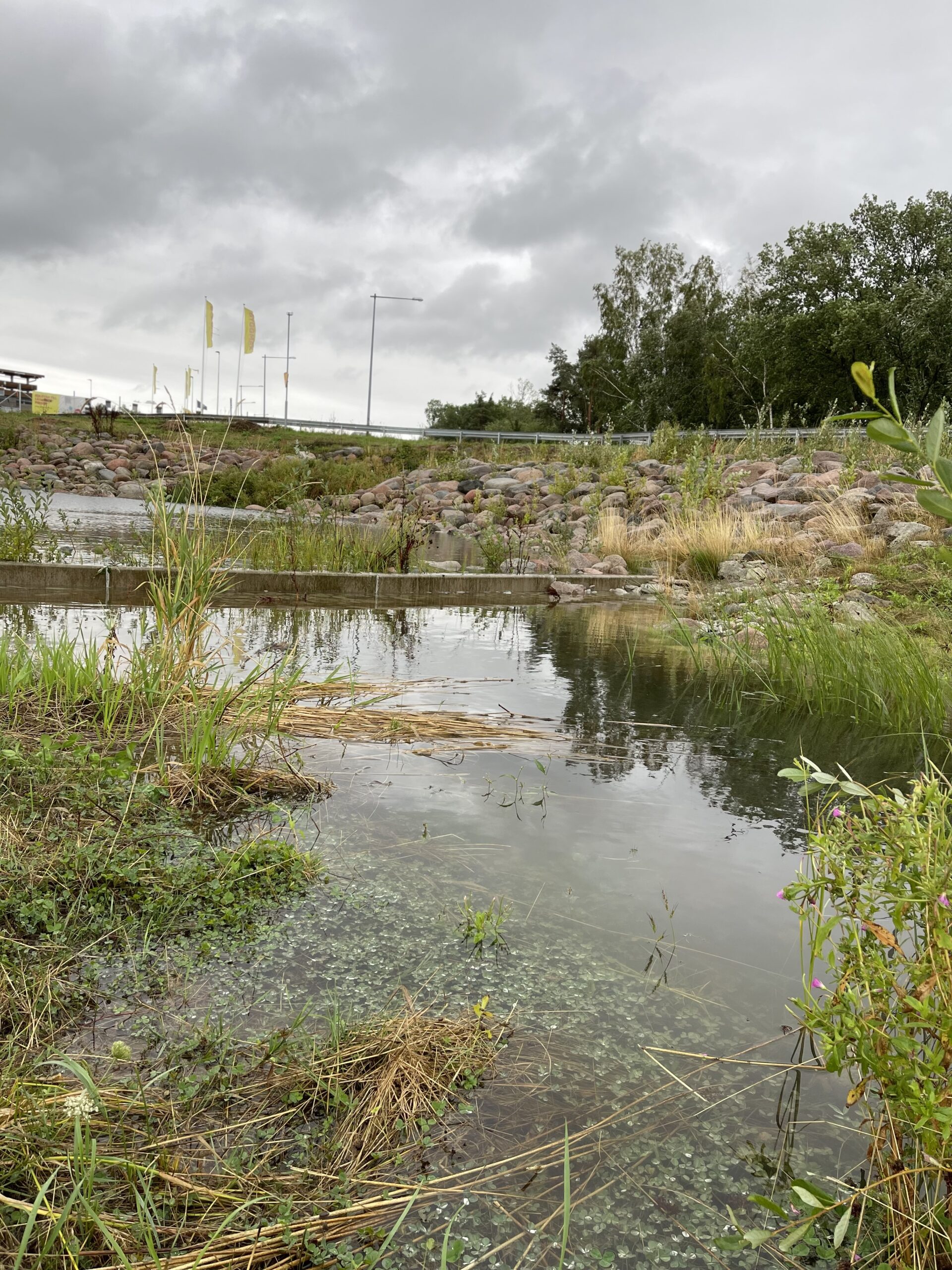 Dagvattenhantering - Borgholm Energi